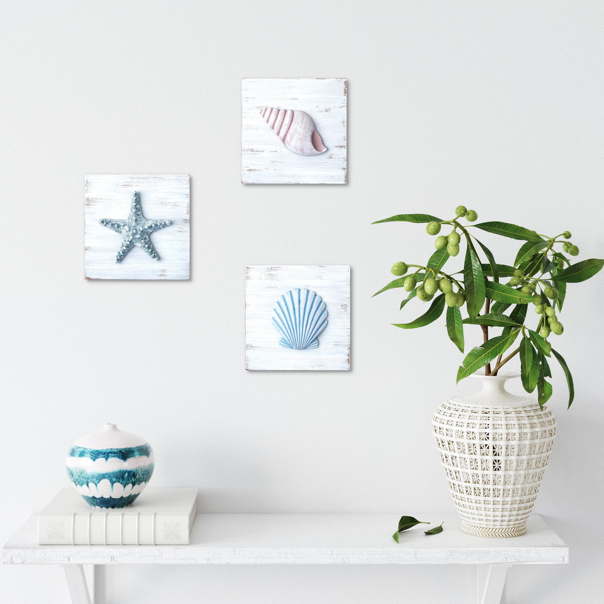 Seashell wall decoration set – TIDE AND TALES